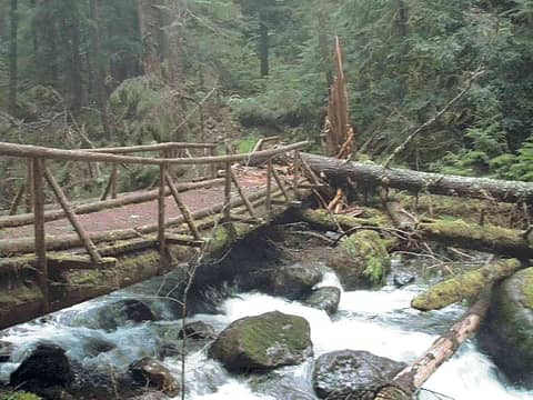 NWHikers.net - View topic - Lower Big Quilcene trail bridges - ceremony ...
