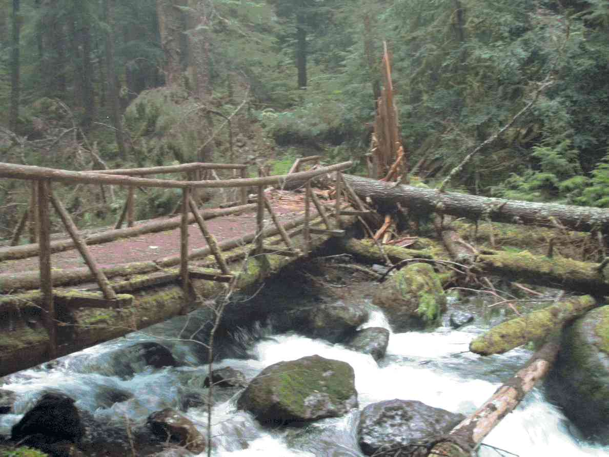 NWHikers.net - View topic - Lower Big Quilcene trail bridges - ceremony ...