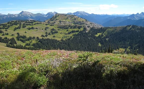 NWHikers.net - View topic - Pasayten trip (PCT & Boundary trails 9/1-9 ...