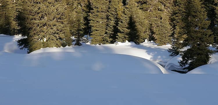 NWHikers.net - View topic - Hot springs and high peaks in the Lochsa ...