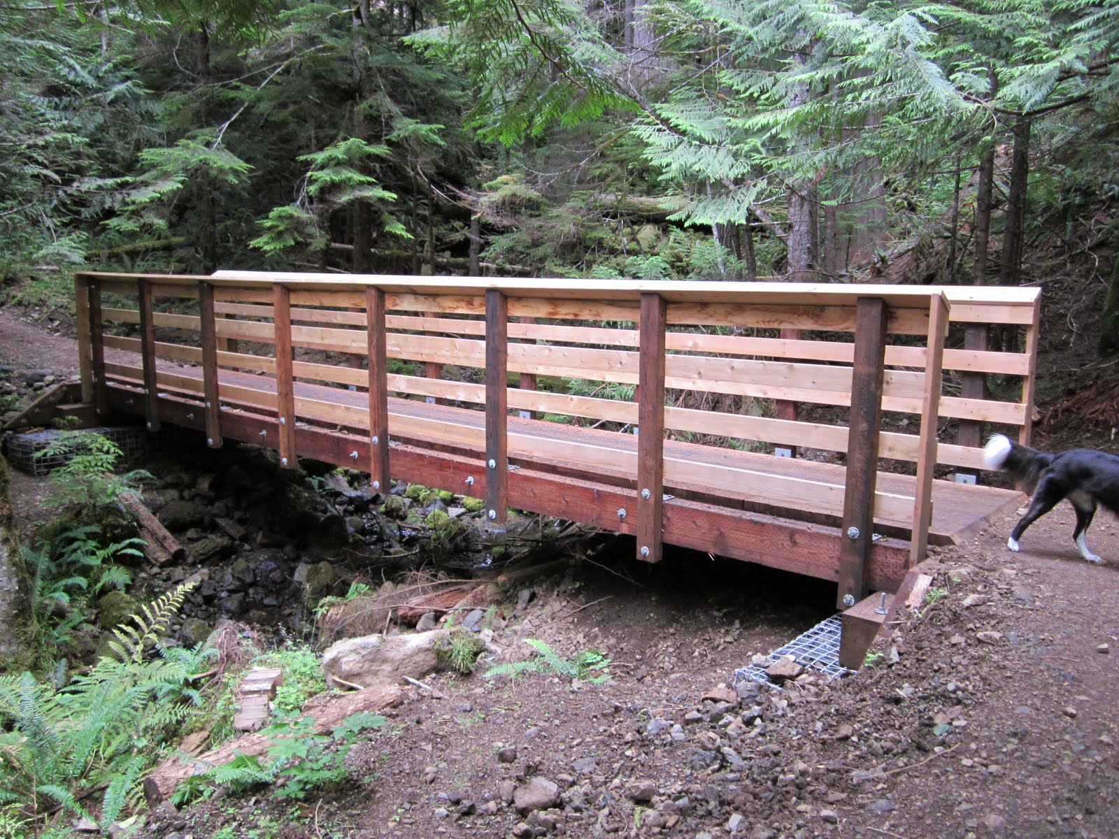 NWHikers.net - View topic - Lower Big Quilcene trail bridges - ceremony ...