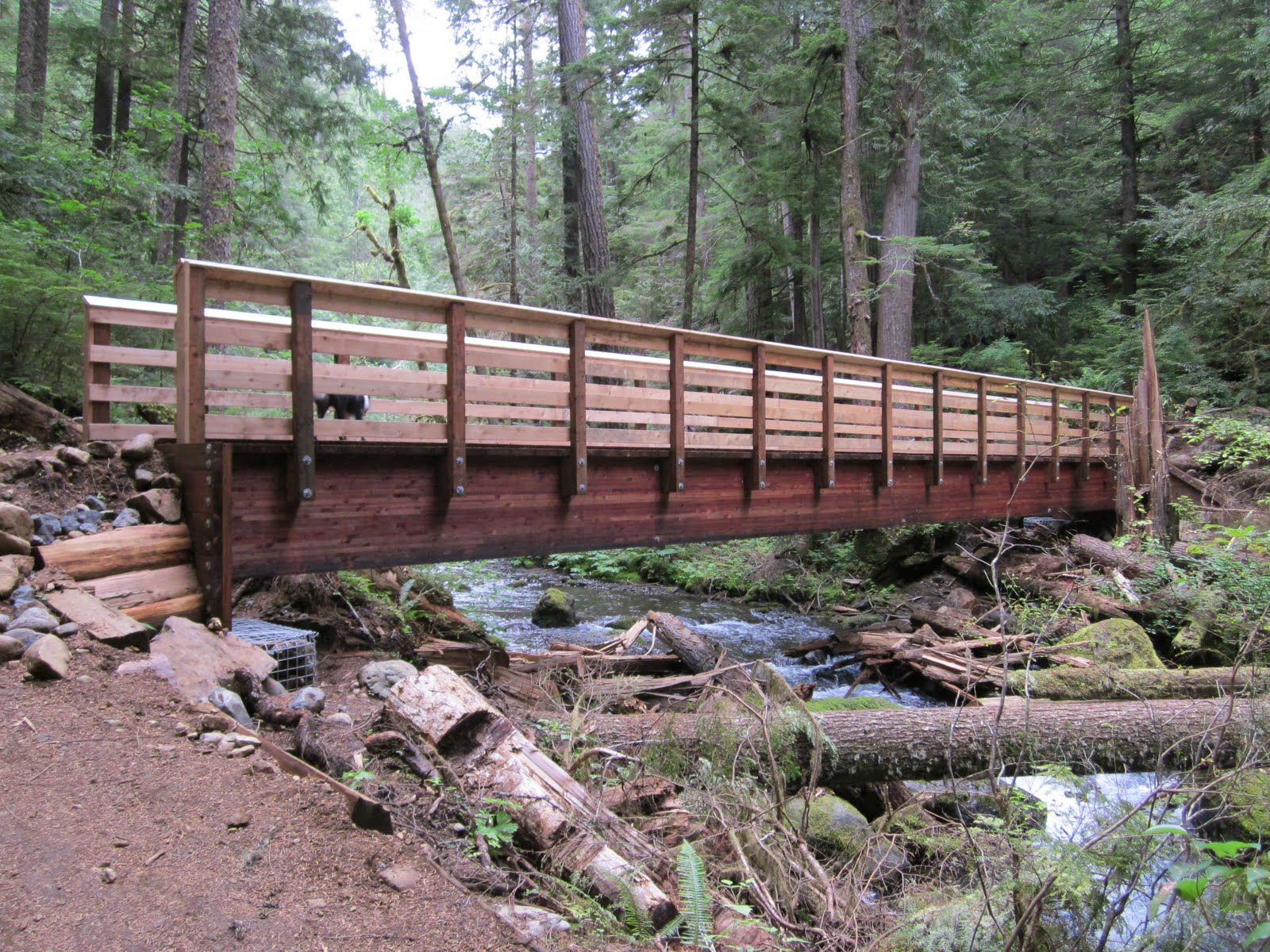 NWHikers.net - View topic - Lower Big Quilcene trail bridges - ceremony ...