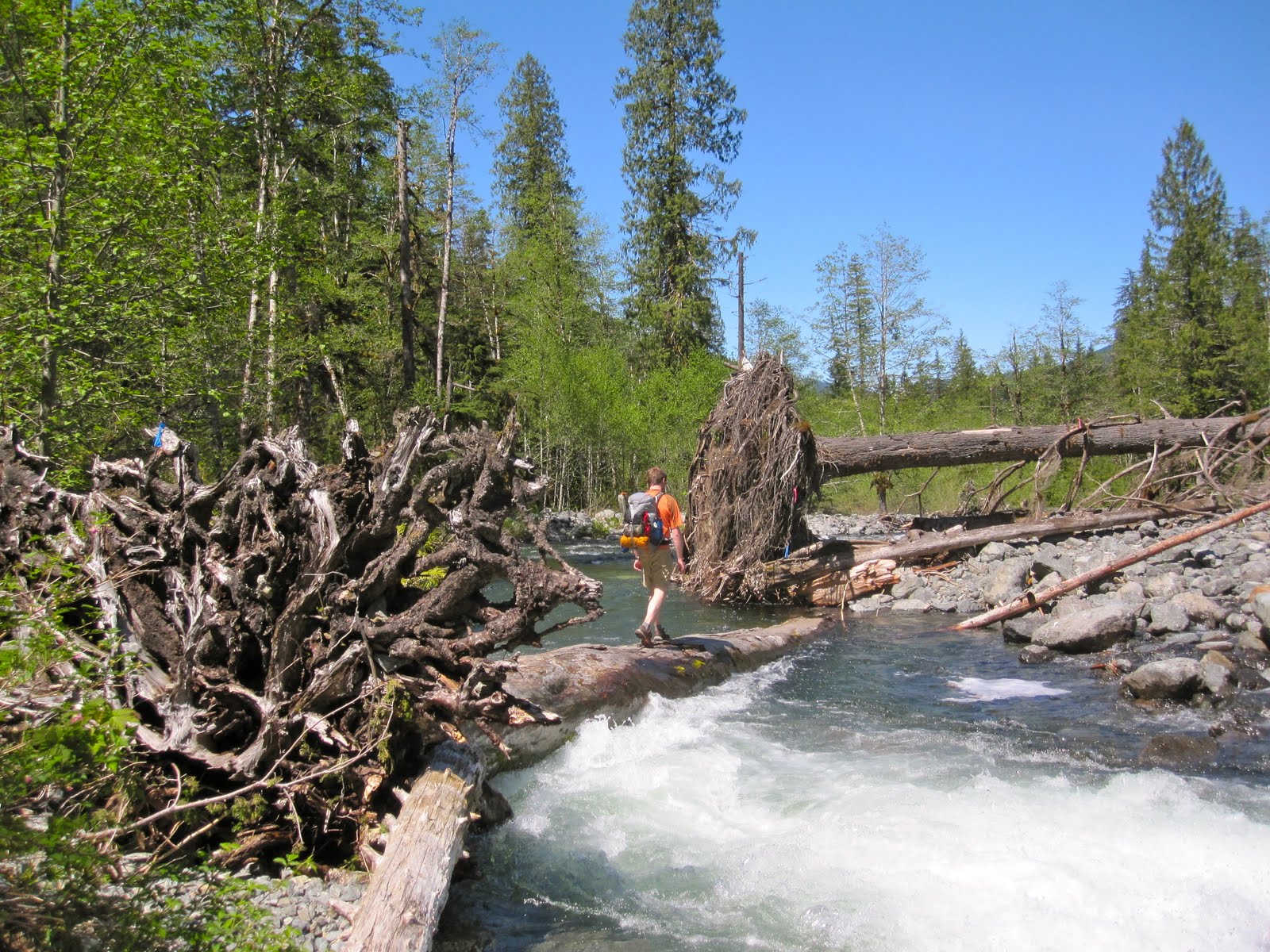NWHikers.net - View topic - Trout Lake & Malachite Falls (June 3-4)