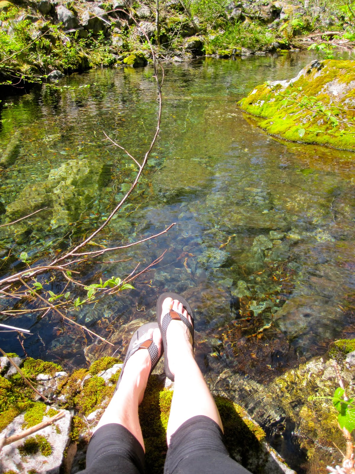 NWHikers.net - View topic - Trout Lake & Malachite Falls (June 3-4)