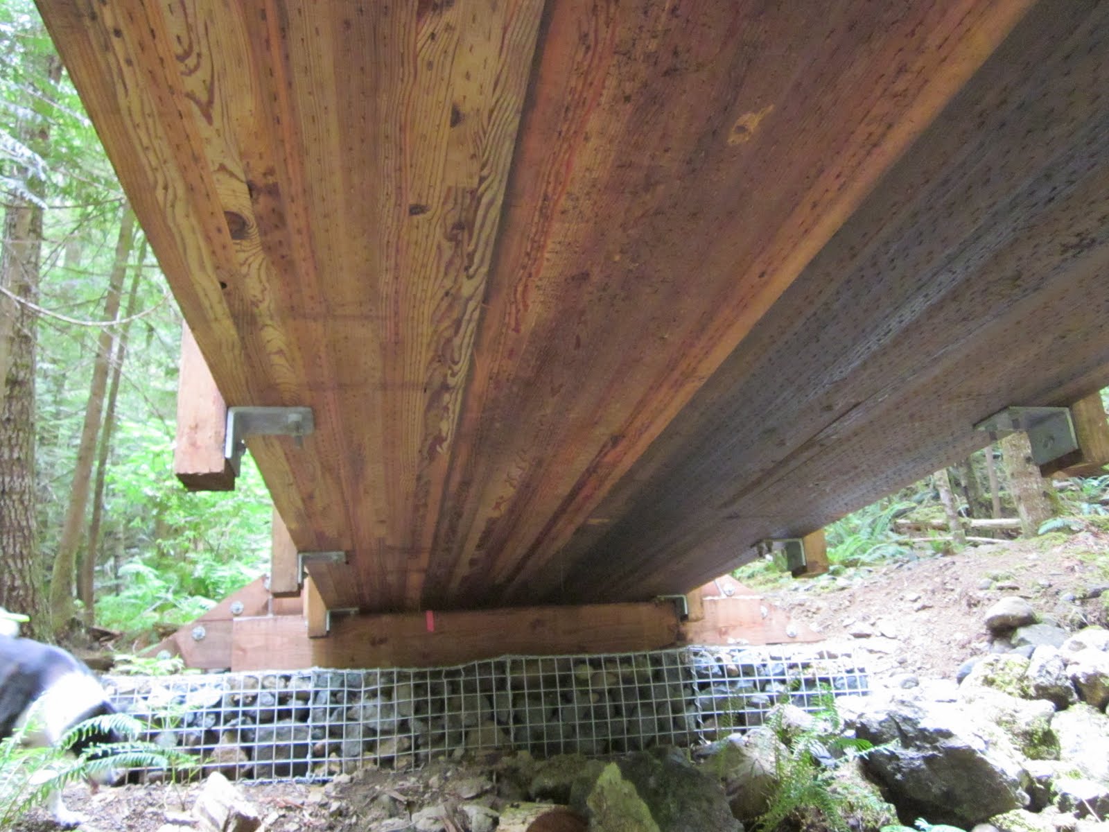 NWHikers.net - View topic - Lower Big Quilcene trail bridges - ceremony ...